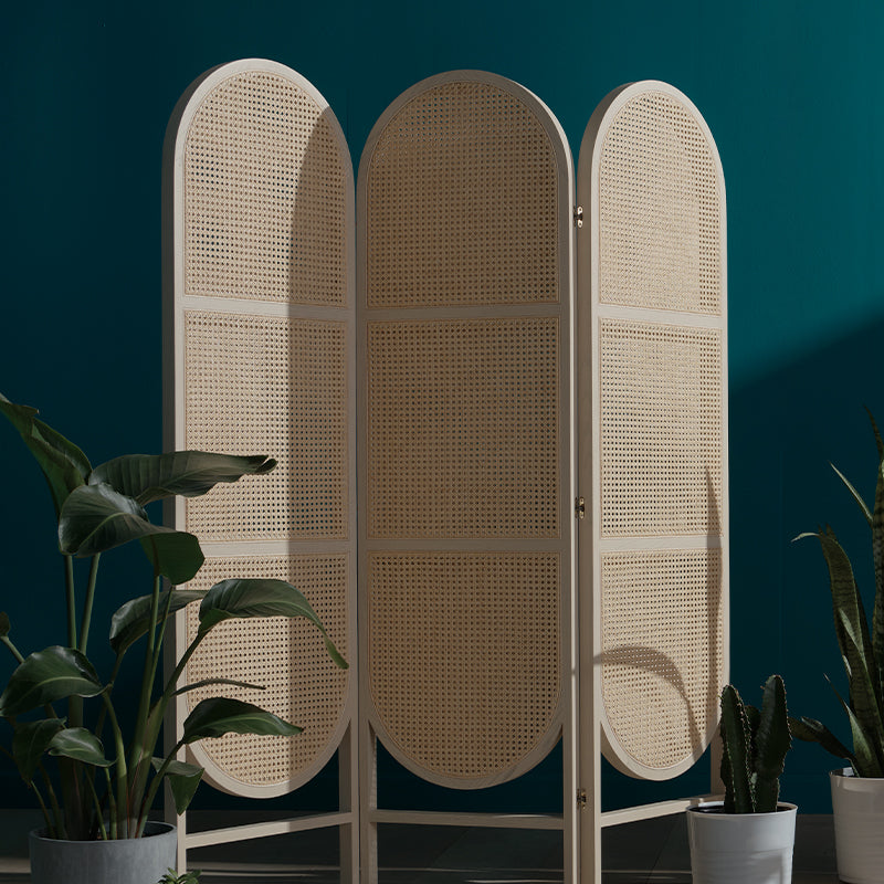 Cane furnish store